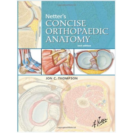 Netter's Concise Orthopaedic Anatomy